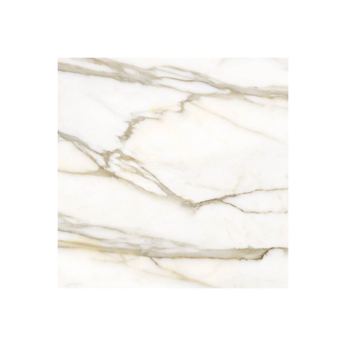 Porcelanato Calacatta Pan De Oro Satiny Embramaco 94x94 Cx2,65 94016 Fl ...