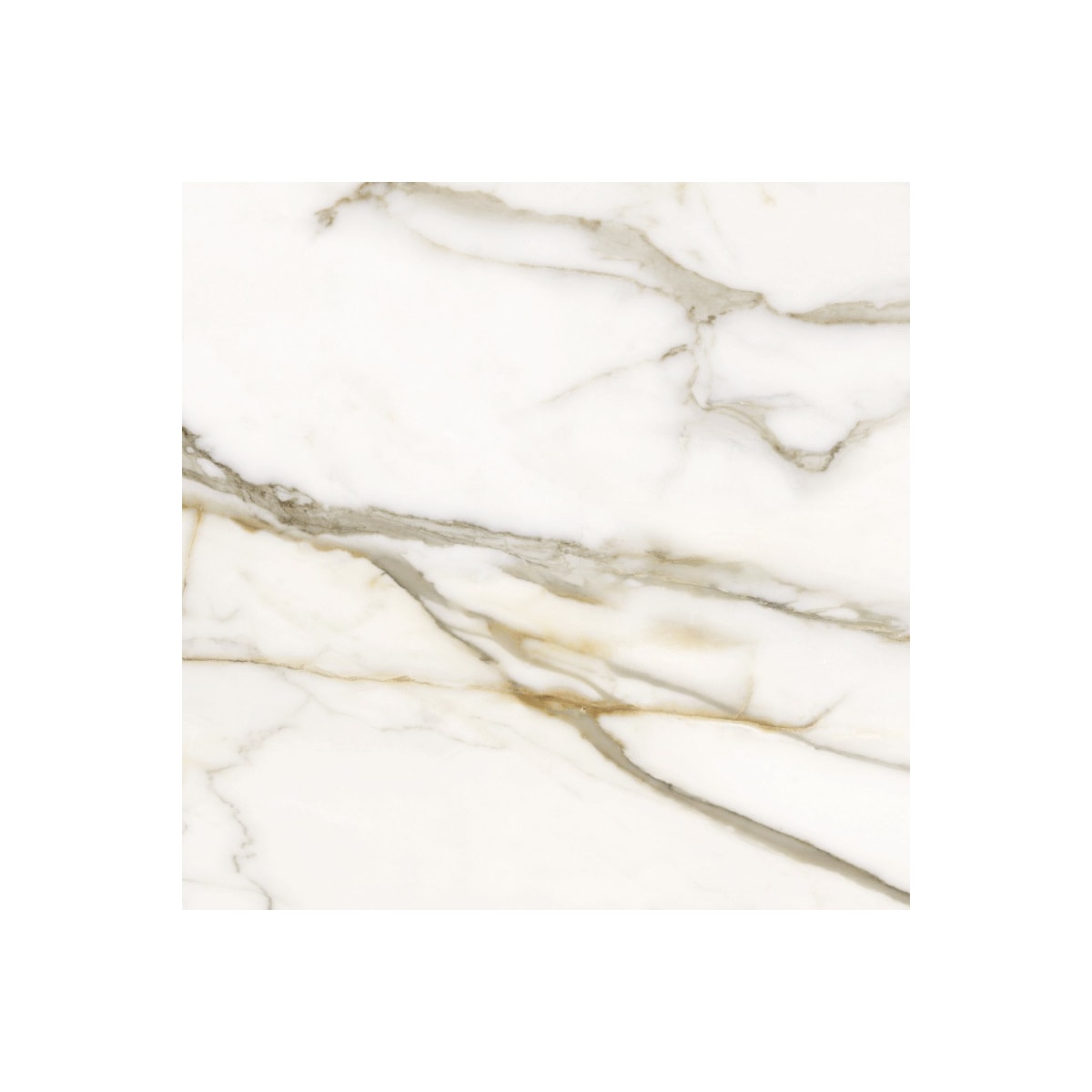 Porcelanato Calacatta Pan De Oro Satiny Embramaco 94x94 Cx2,65 94016 Fl ...